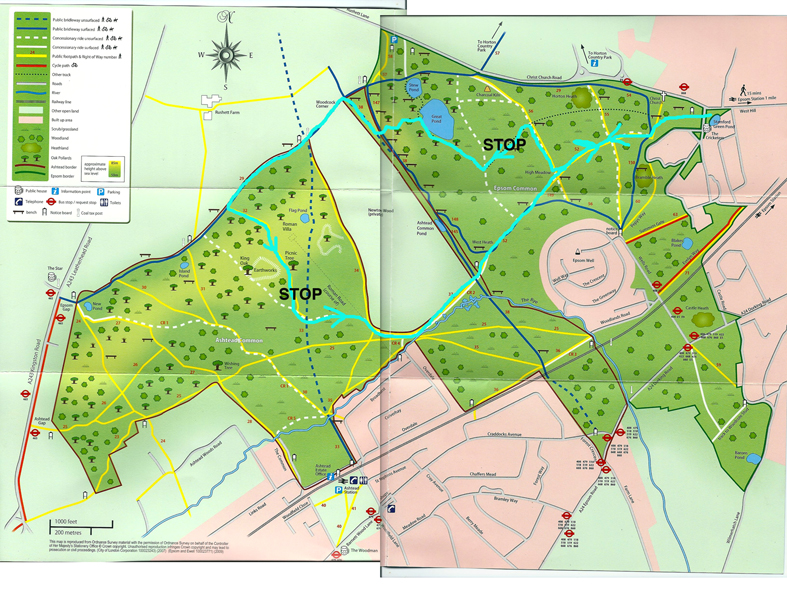 Artwalks Epsom and Ashtead common: Art walk map