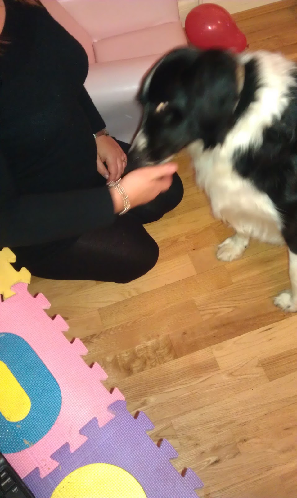 Bob Martin Natural Vitality Dog Treats Review - Emmy's Mummy