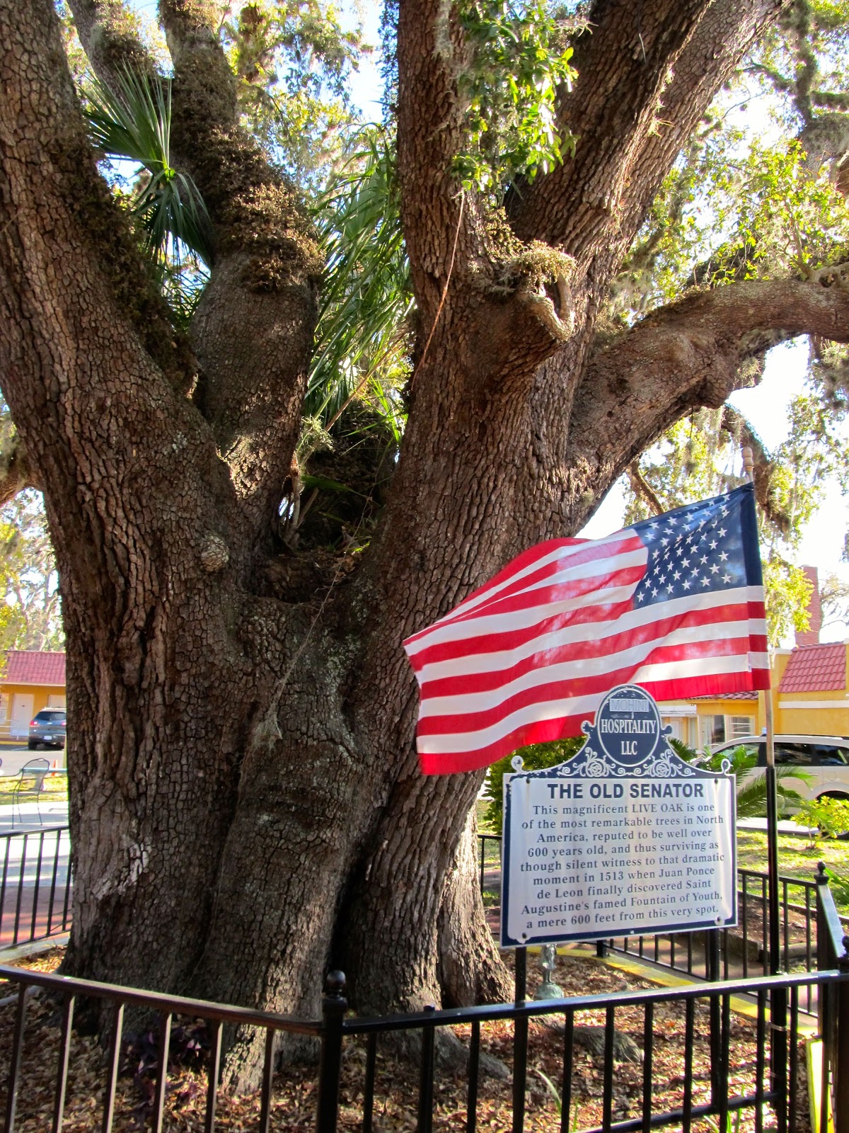 midnight snark: place i love: st. augustine, florida