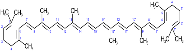 LIKOPEN - SAINTECH BLOG