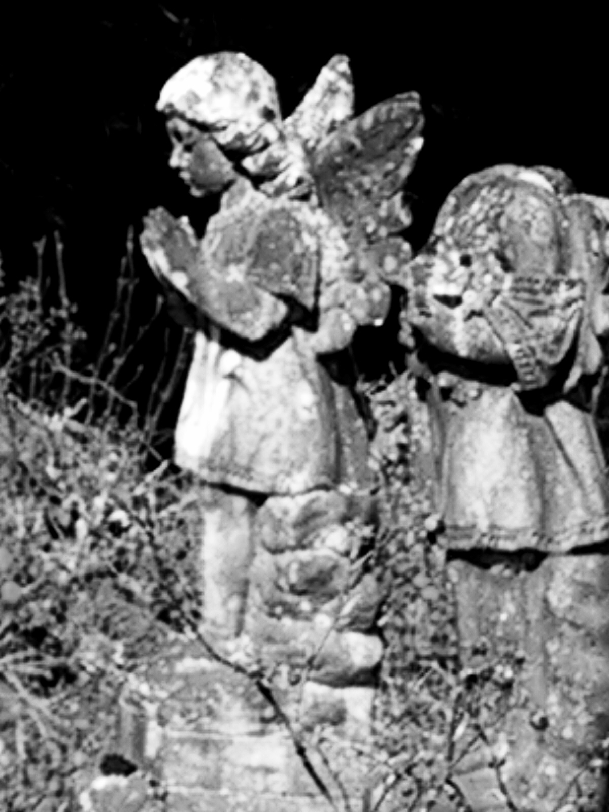 Stone Angels