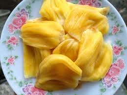Kerala Tourism: Jack fruit or Chakka is a common tree in Kerala