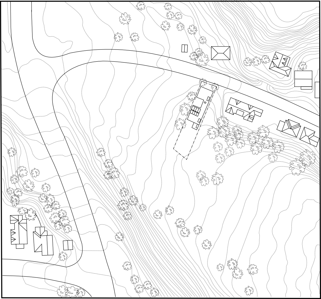 Wolf Residence: Satellite Zoom in Site Plan