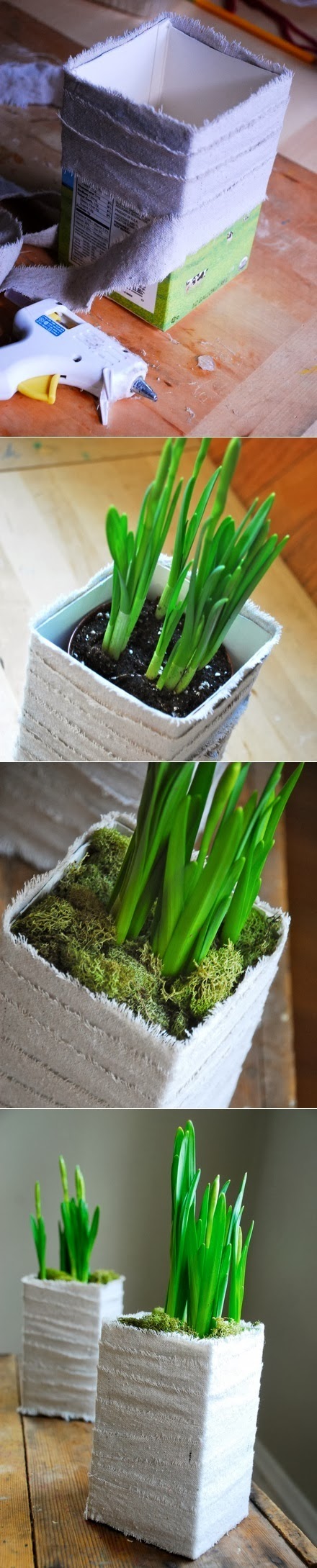 DIY: DIY Milk Carton Planter