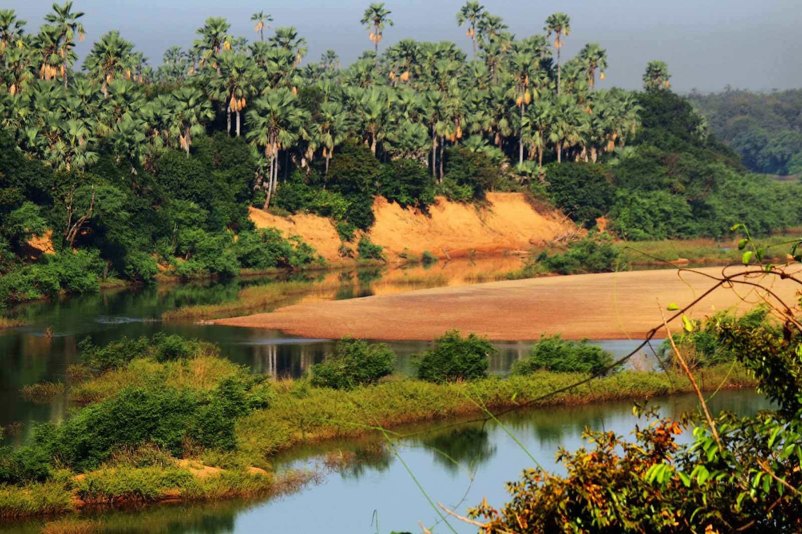 Visitar o Parque Nacional Niokolo Koba - Caçadores e presas | Senegal