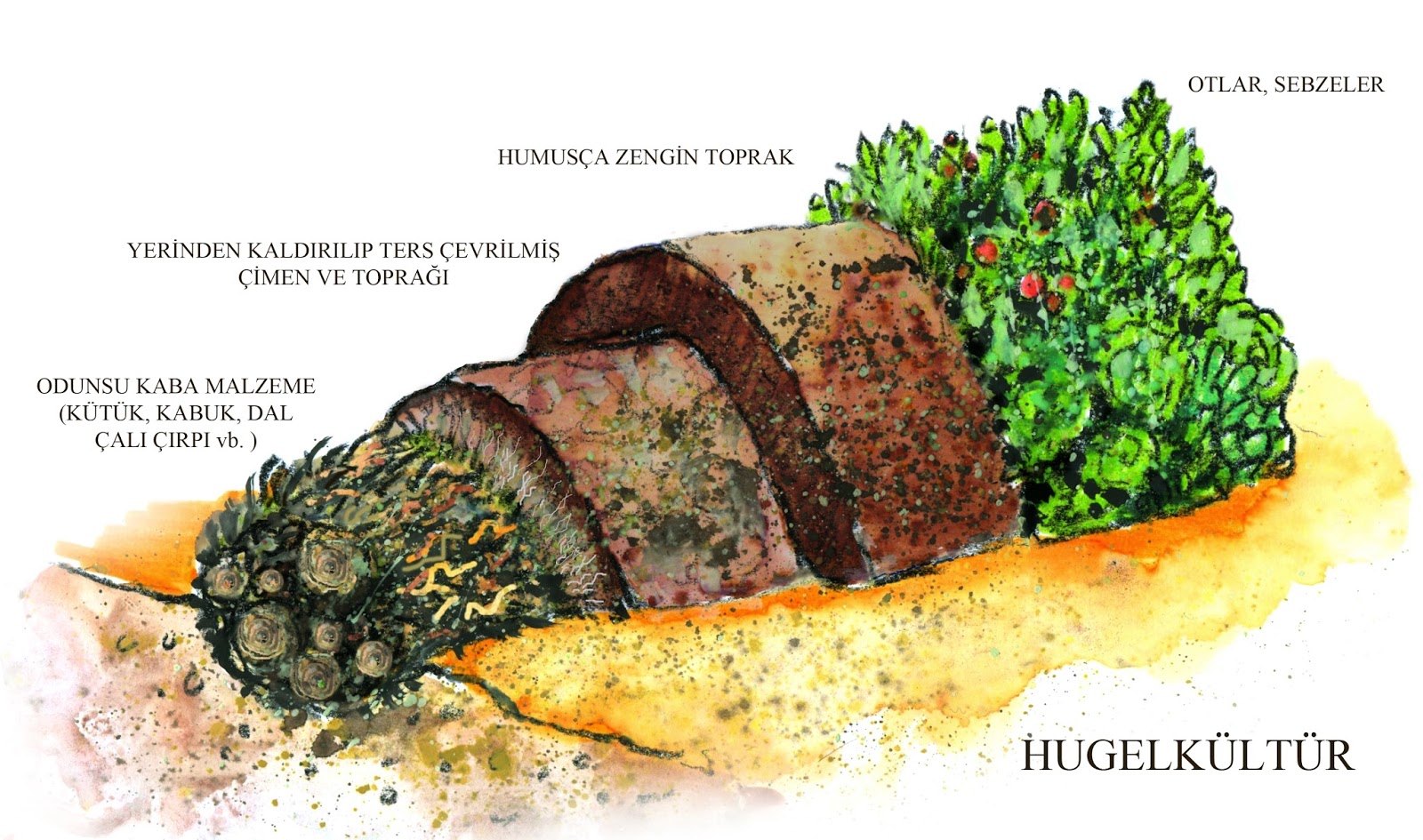 Toprak Nedir? Toprak Oluşumu ve Toprak Çeşitleri