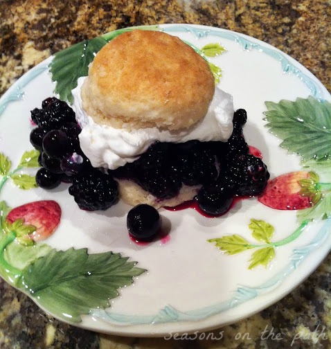 Seasons on the Path: Blueberry Blackberry Shortcake