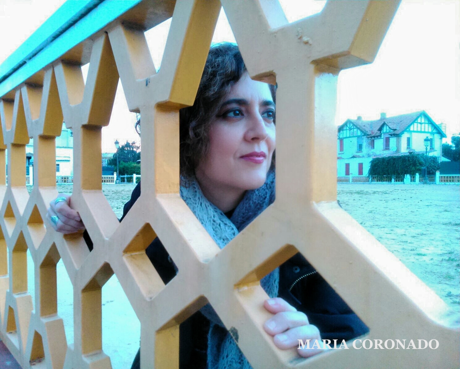 RAMON LLANES: LATIDOS DE UN BARRIO INGLÉS. (María Coronado)