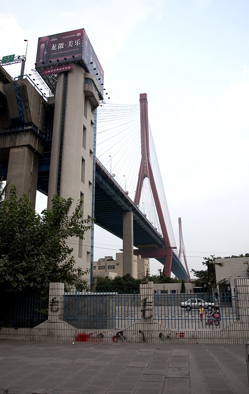 Bridge of the Week: Shanghai's Bridges: Yangpu Bridge (2)
