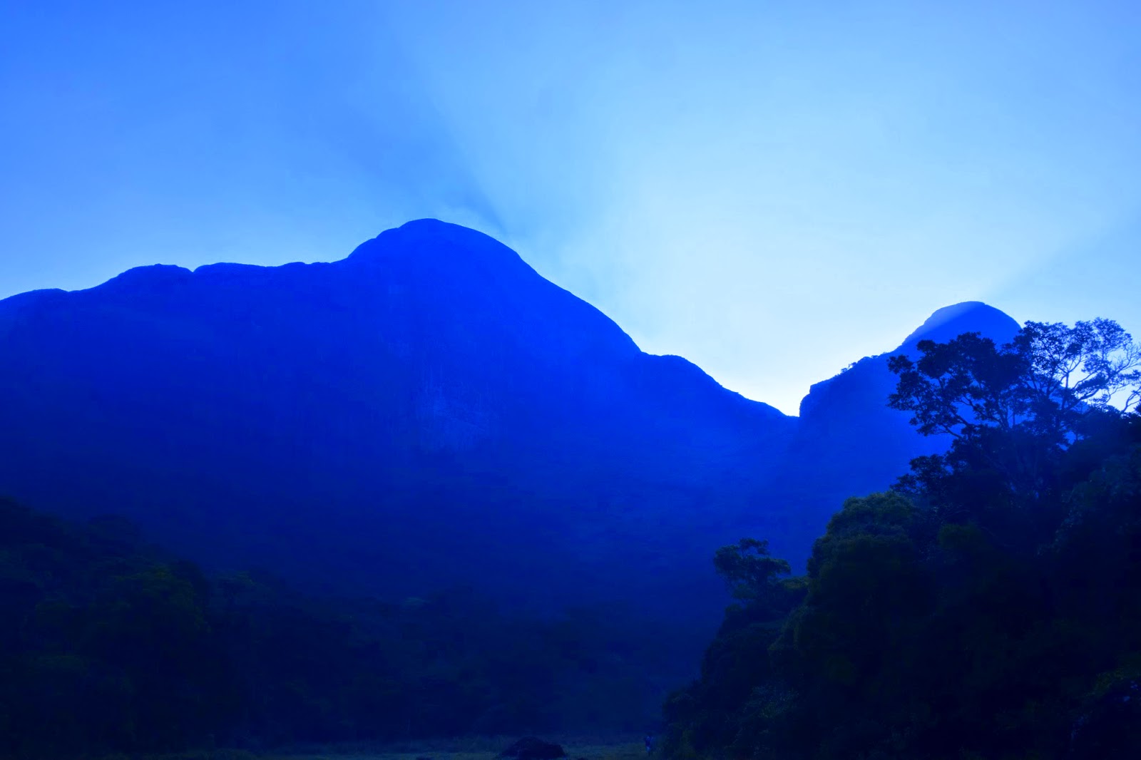 Kerala Trekking and Hiking (TREE Club): 005-Agasthyakoodam Trekking_08 ...