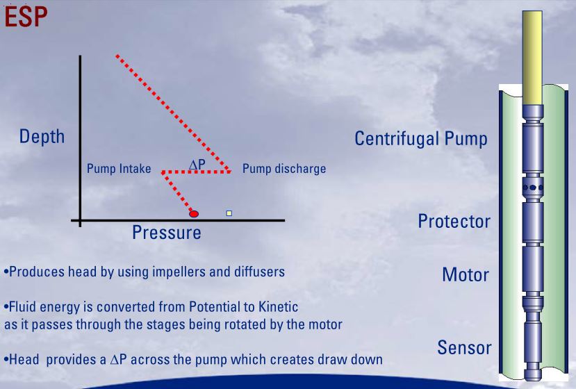 Electric Submersible Pumps: ESP