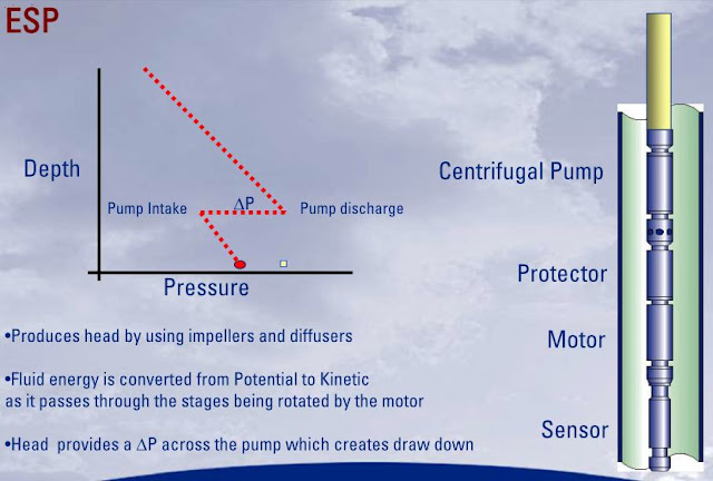 Electric Submersible Pumps: ESP
