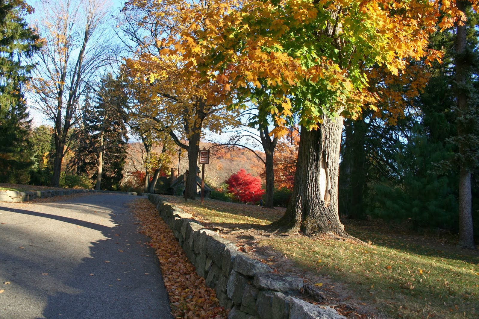 Pine Lake: The Blog: Fall Colors at the NJ Botanical Gardens