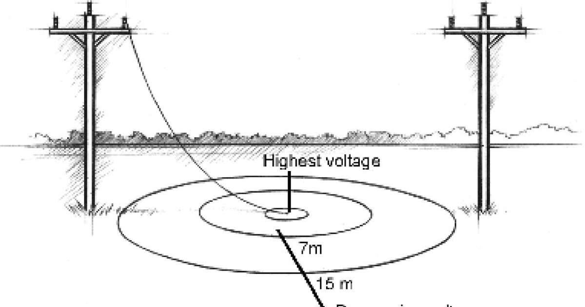 what to do when you find a Downed Power Lines - ELECTRICAL ENGINEERING