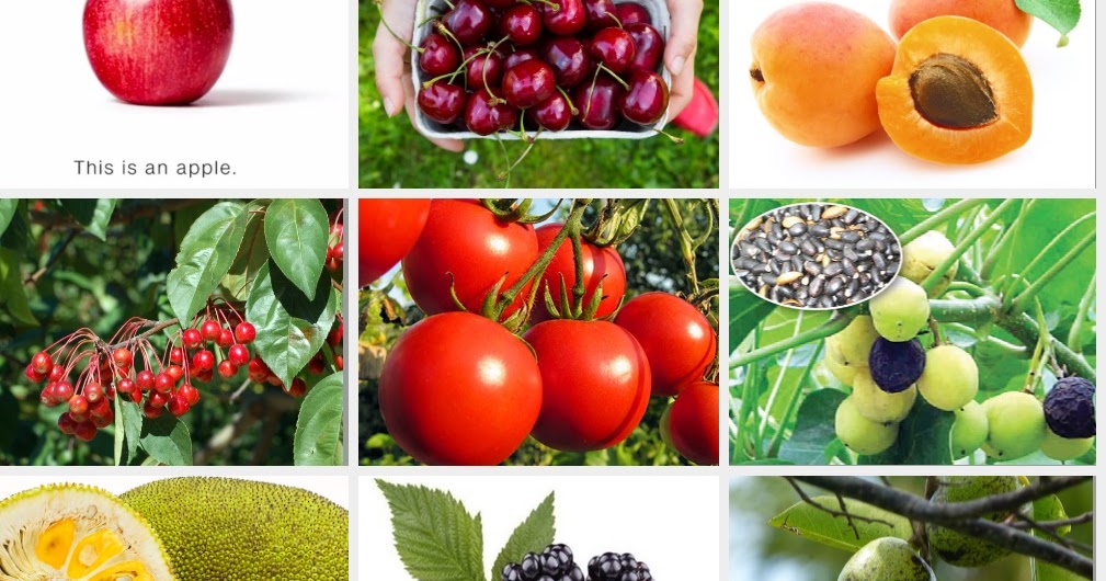 10 Fruits You Will Not Believe Are Toxic To Health