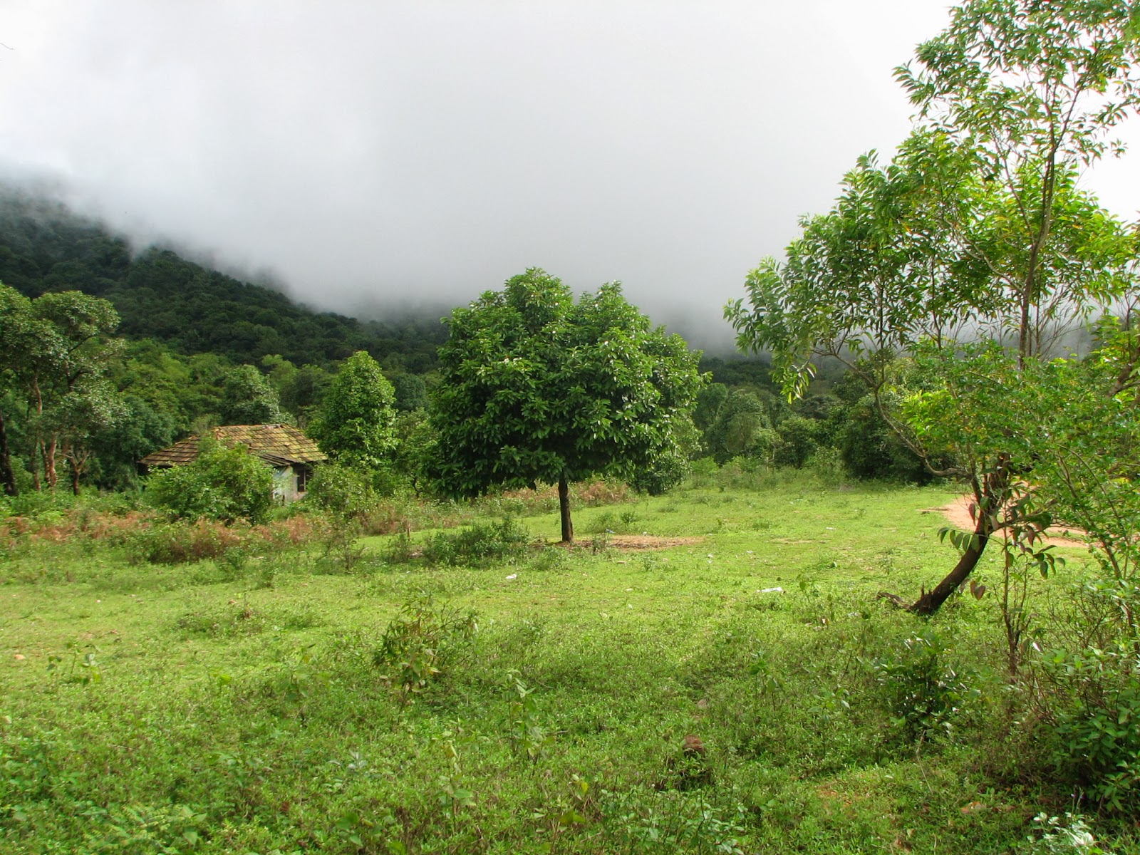 Tourism and Environment: Drive through the Hills of Karnataka ...
