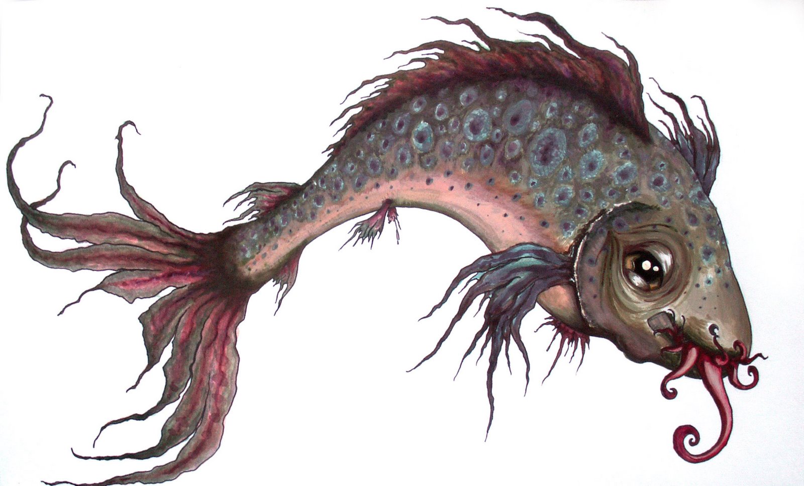 California Flyingfish - Fishes