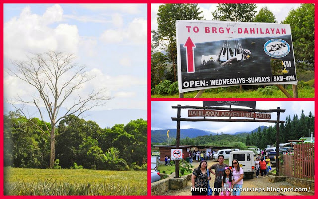 In Pinay's footsteps: DAHILAYAN ADVENTURE PARK, BUKIDNON