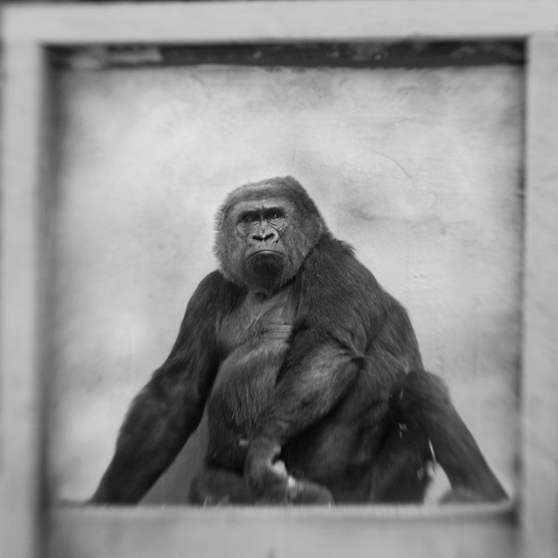 591 Exhibition: Anne Berry - Selected Work