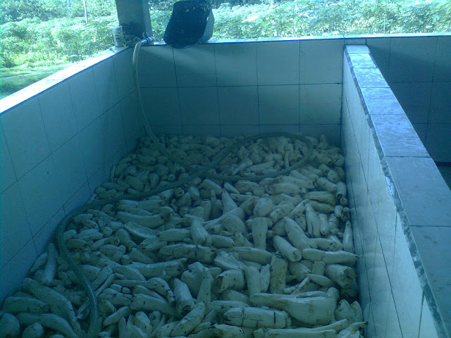 MOKAF WONOGIRI: TEPUNG MOKAF