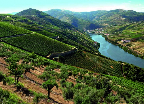 A vida secreta dos vinhos: A sub-região do baixo Corgo, o berço do Douro.