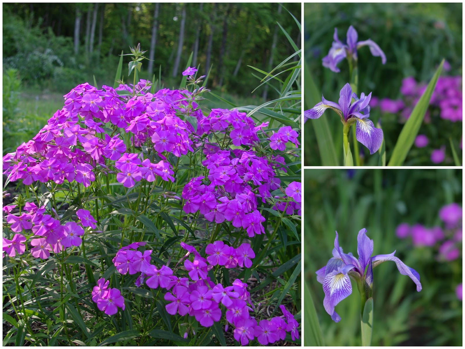 sweetbay: February 2013