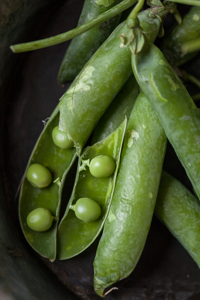 Plated Stories: Peas