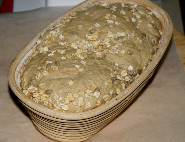 my discovery of Bread: Oat Bread with Avena Vital