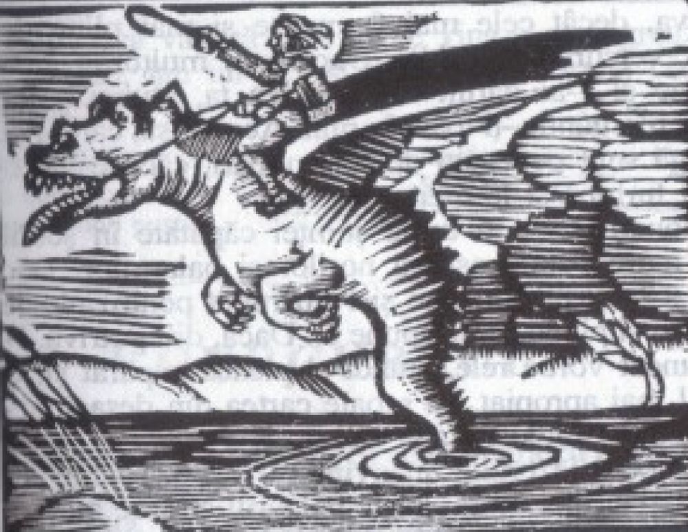 adrianbucurescu: Viața secretă a unui Solomonar