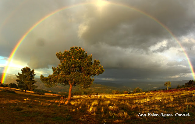 Anne Bell Fotografia: Arcoiris