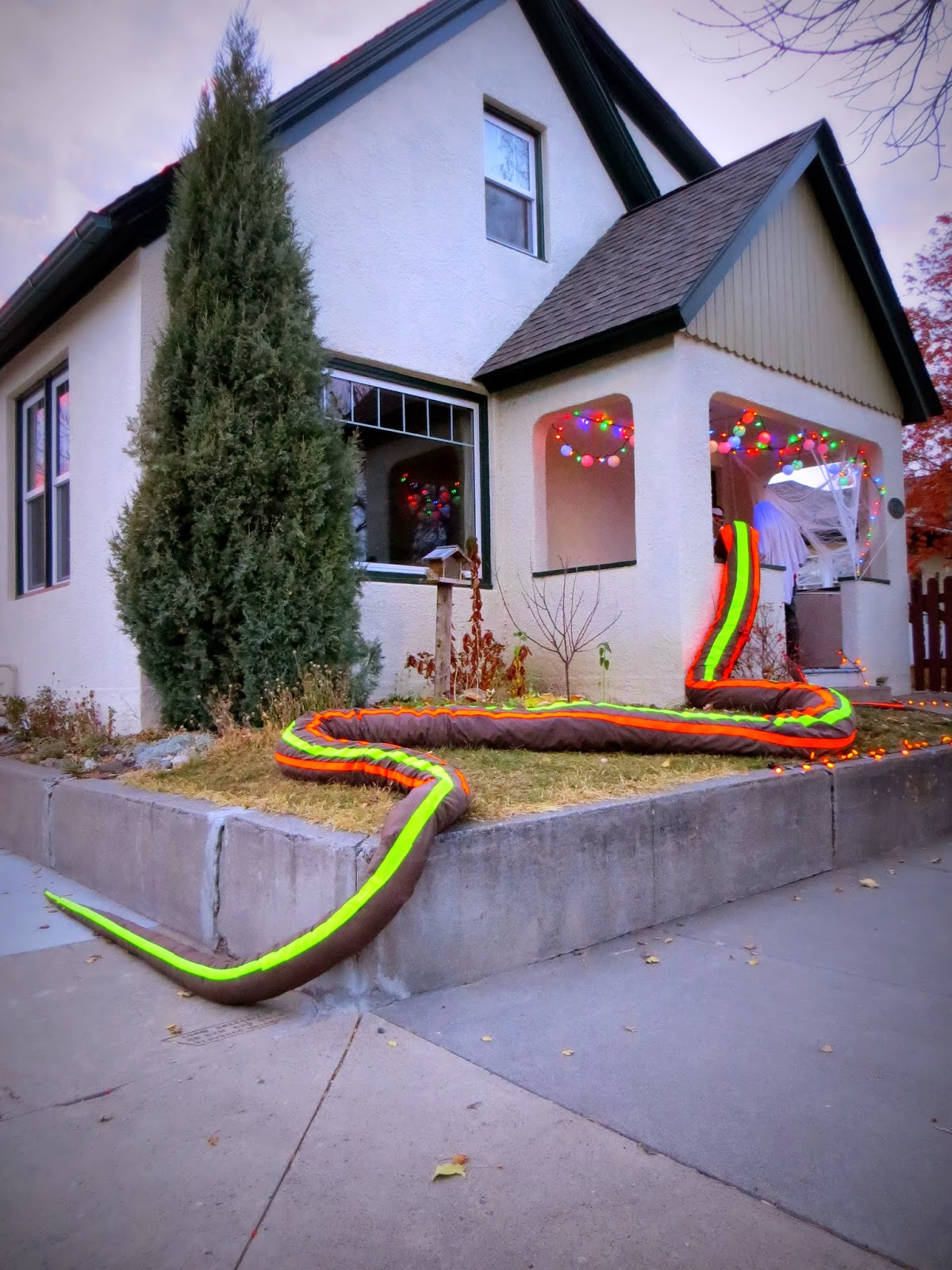 itty bitty love: sssssssssssssssssssss........