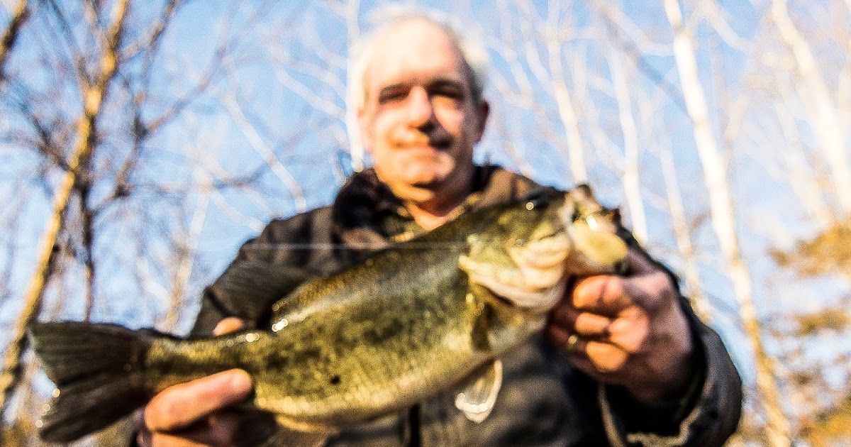 Litton's Fishing Lines: 18-Inch Largemouth