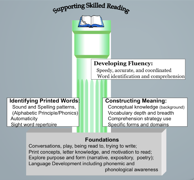 Children's Language and Literacy Development: Literacy Foundations of ...