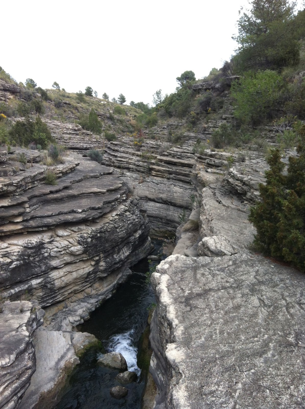Barrankeros CV: UN BARRANCO CON AGUA EN MURCIA. EL BOLBO NEGRO