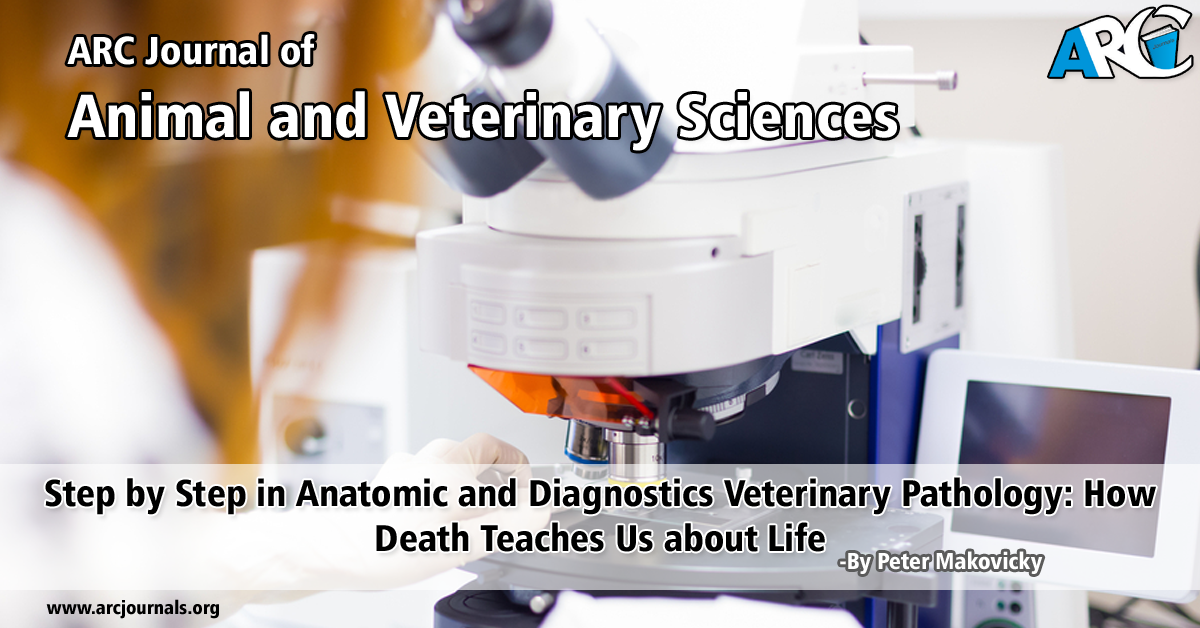 Step by Step in Anatomic and Diagnostics Veterinary Pathology: How ...