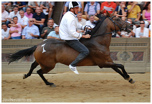 Que significa soñar con jinete | Significado de los Sueños