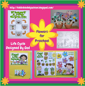 Bible Fun For Kids: God Makes Flowers and Plants