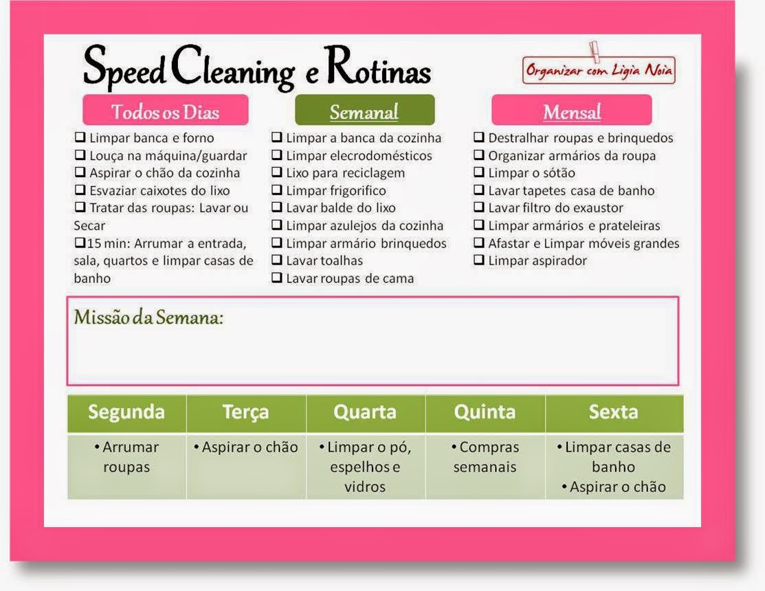 Organizar Com Ligia Noia Checklist Speed Cleaning