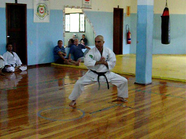 Okinawa Karate-do Goju-Ryu: GOJU RYU UMA ARTE FANTÁSTICA