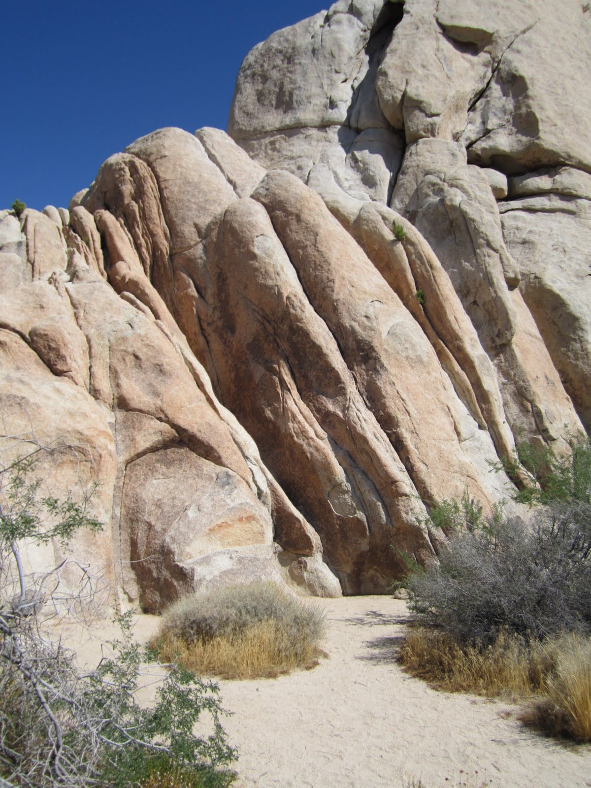Bay Area Climbing - All Things Beta!: Joshua Tree Route Beta Bay Area Climbing - All Things Beta!: Joshua Tree Route Beta