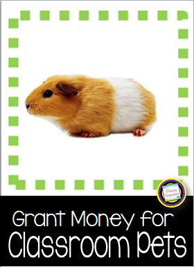 Primary Inspiration: Free Money for Classroom Pets