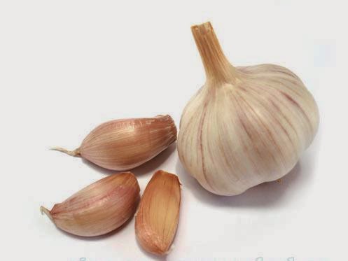 Safra de bri: EL AJO,CLASIFICACION Y USOS