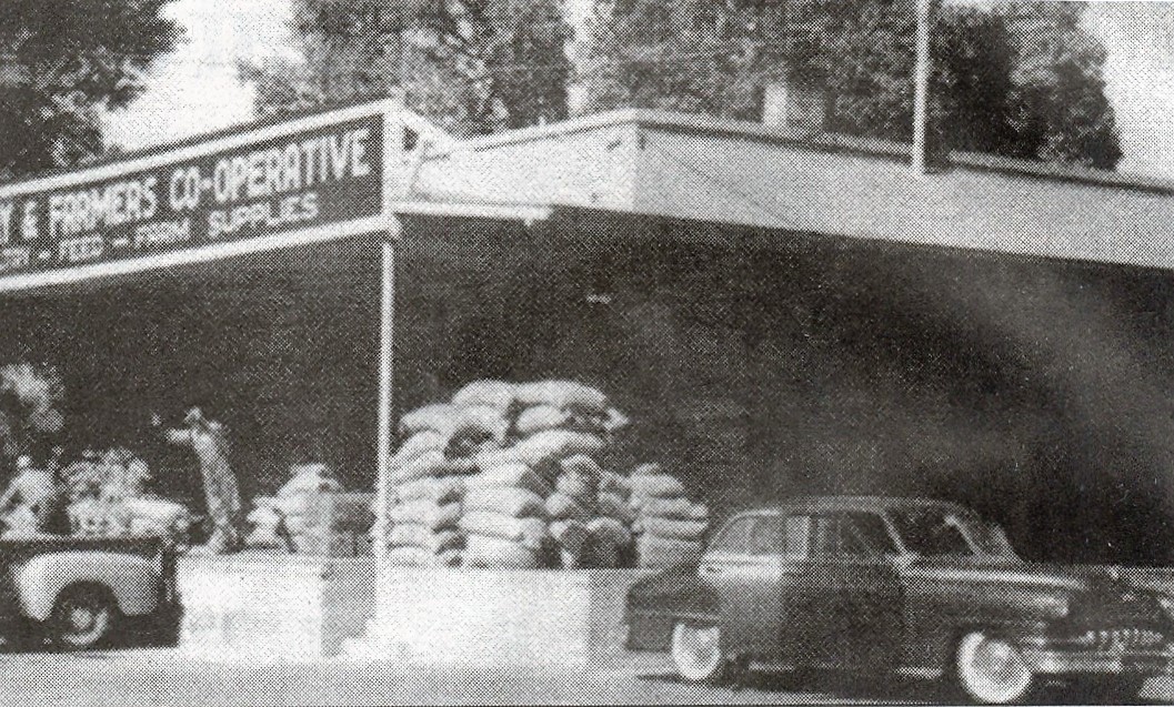 Payson Historical Society: REMEMBER WHEN FROM THE PAST--UTAH POULTRY ...