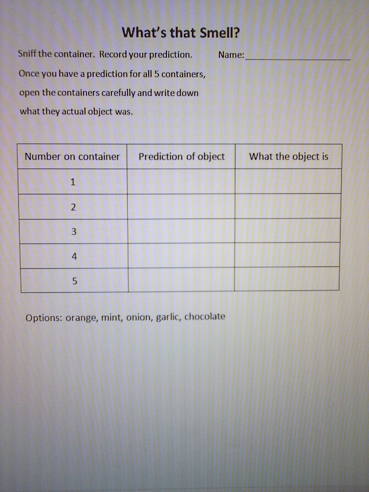 Fun Science Experiments with Miss Hagerman: Investigating with the 5 Senses