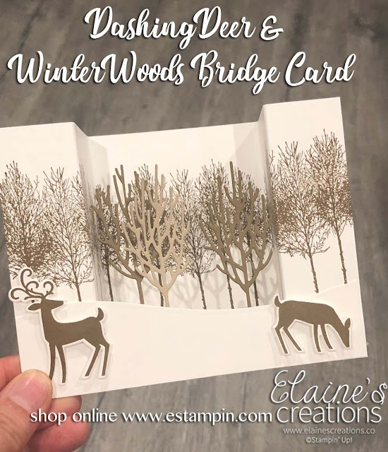Elaine's Creations: Learn How to Make Bridge Cards!