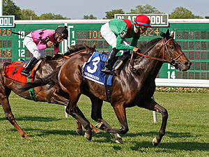 INTRO – Canadian Thoroughbred