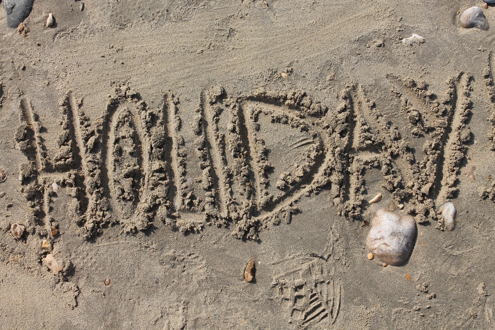 Holiday Snaps & Misadventures