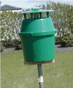 Insect Pest Management Program: Bertha armyworm monitoring