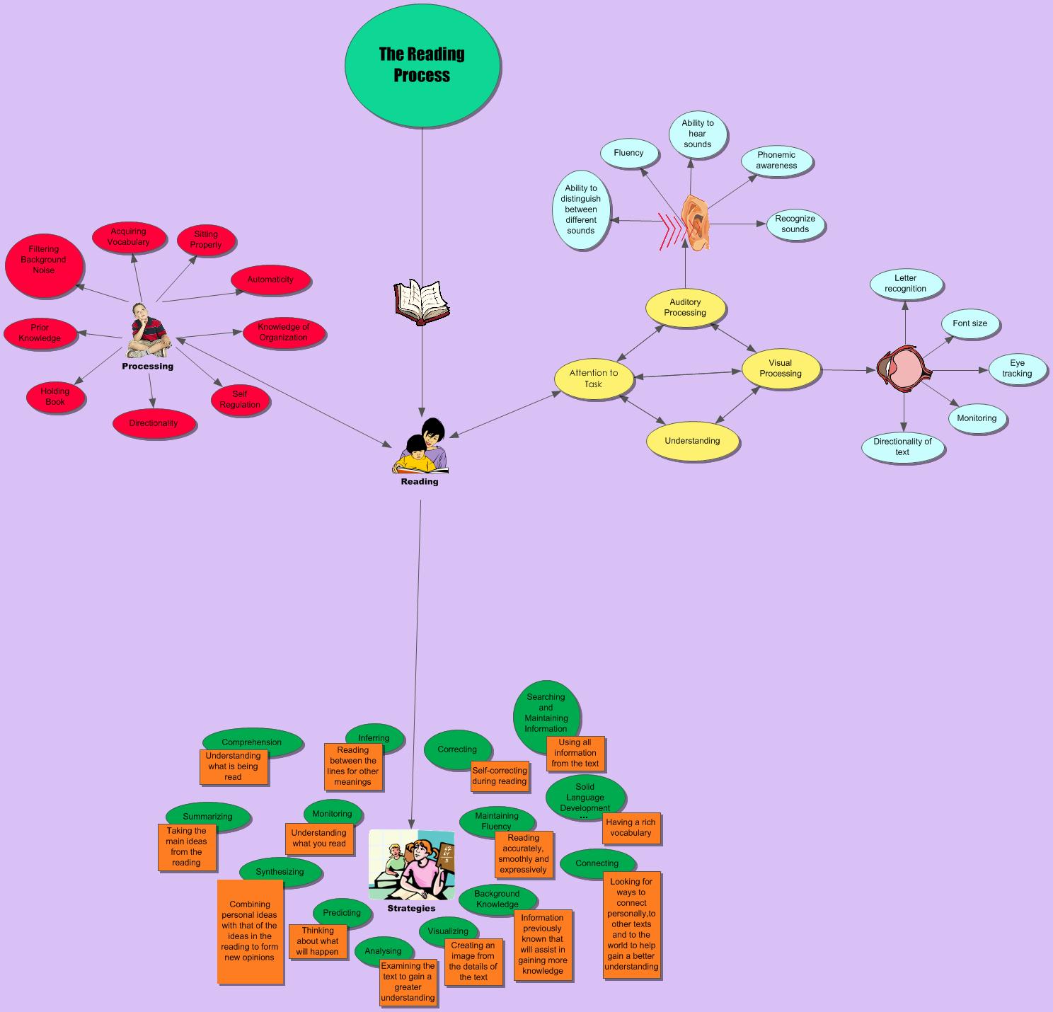 Educ 5163: The Reading Process