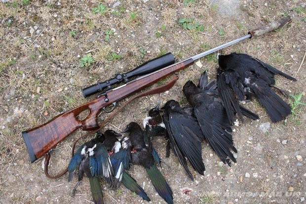 JMS ARMS: The Four Rifles of the Apocalypse